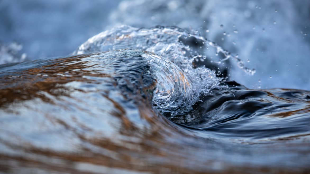 Alumni | Autodesk Foundation