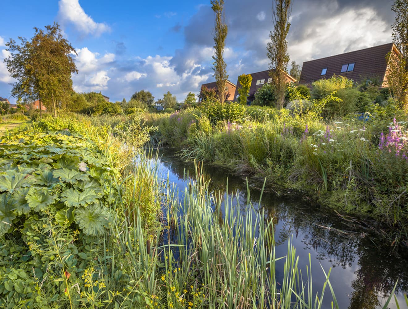 Resilient And Sustainable Drainage Design Autodesk